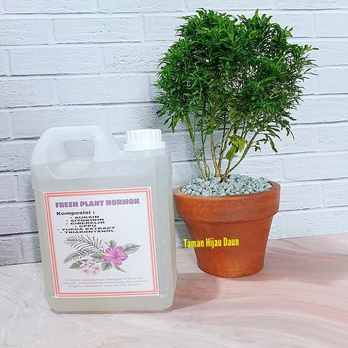 Jual Fresh Plant Hormon Untuk Kebutuhan Tanaman Anda pilih varian 1L ...