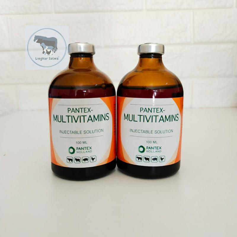 Multivitamin Pantex Holland ( vitamin pertumbuhan dan metabolisme ...