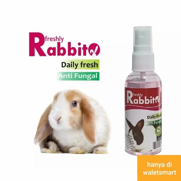 Parfum Kelinci Hamster Marmut Guinea Pig anti Scabies dan Jamur - Shop ...