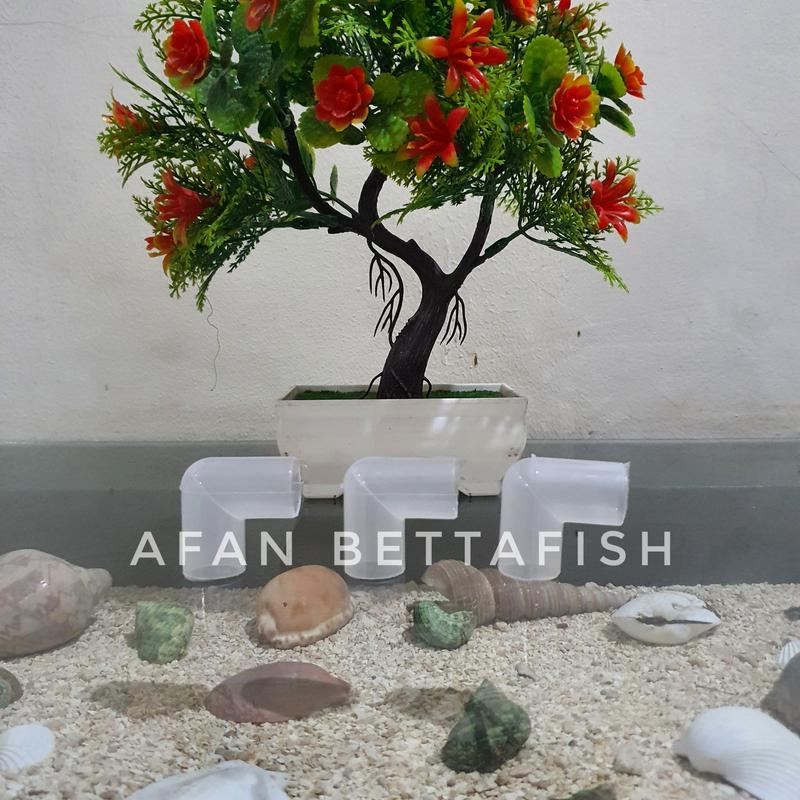 Knee Bening Sambungan Pipa Bening Keni L / Aquarium Aquascap - Shop ...