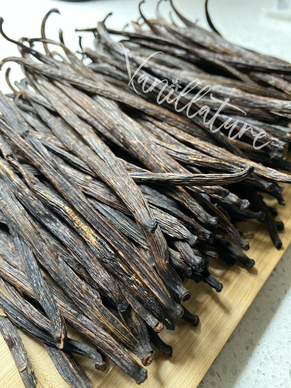 Vanilla Bean Grade B- Vanilla pod -Polong Vanilla - Biji Vanilla- 10gr ...