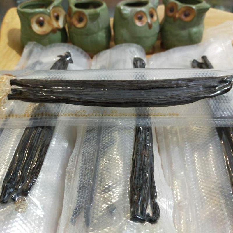 Vanilla Bean Grade B- Vanilla pod -Polong Vanilla - Biji Vanilla- 10gr ...
