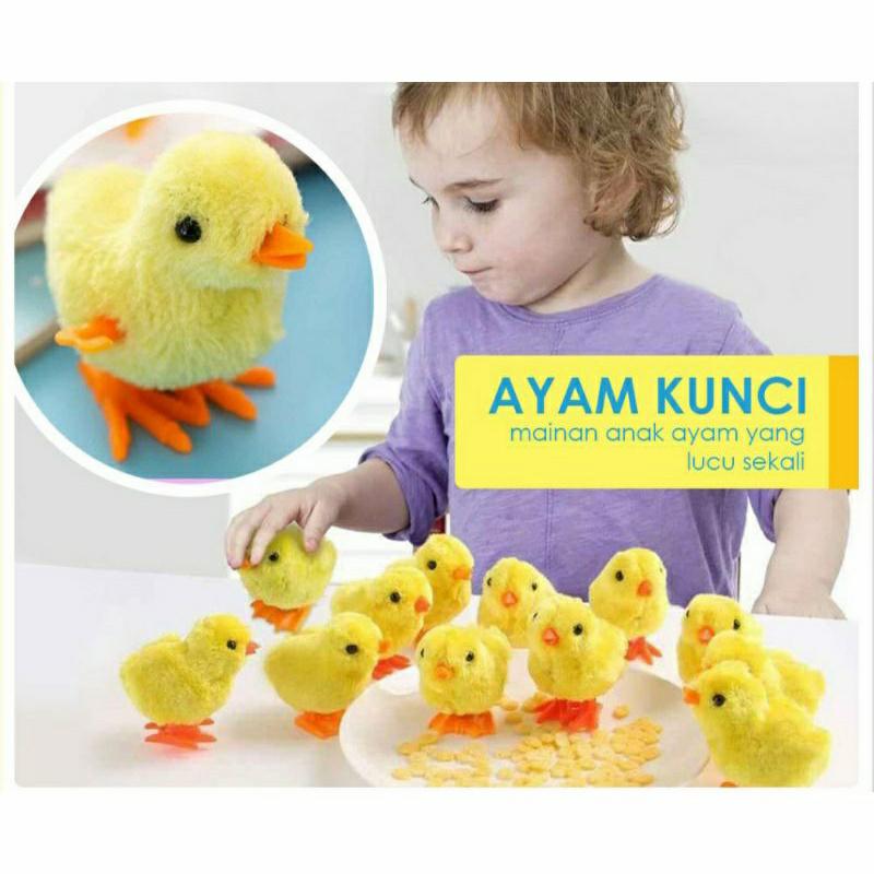 Mainan Anak Ayam Patok / Anak Ayam Kunci Lompat Jumping Chicken - Shop ...
