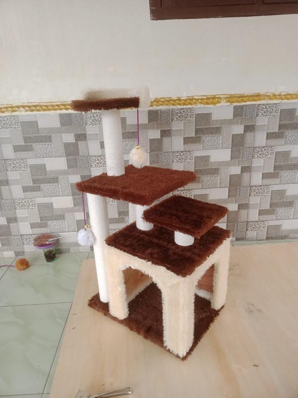 CAT CONDO & BOX RUMAH KUCING UK30X30cm free 1pcs kalung kucing - Shop ...