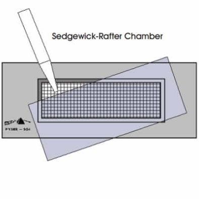Saedgwick rafter counting cell - Shop | Tokopedia