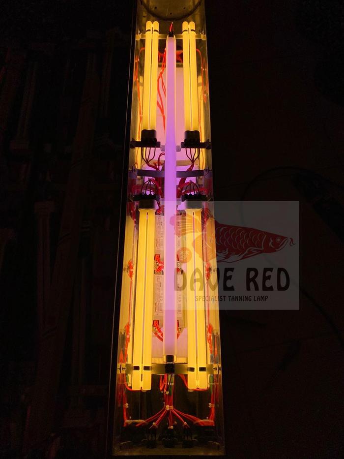 Jual 4 PLL 1 Jebo Lampu Tanning Arwana Soft Tanning Dave Red Arwana ...