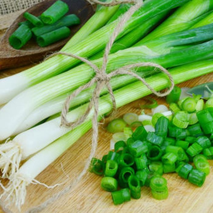 Jual Biji Bibit Benih Tanaman Sayur Sayuran Daun Bawang Cocok Untuk ...