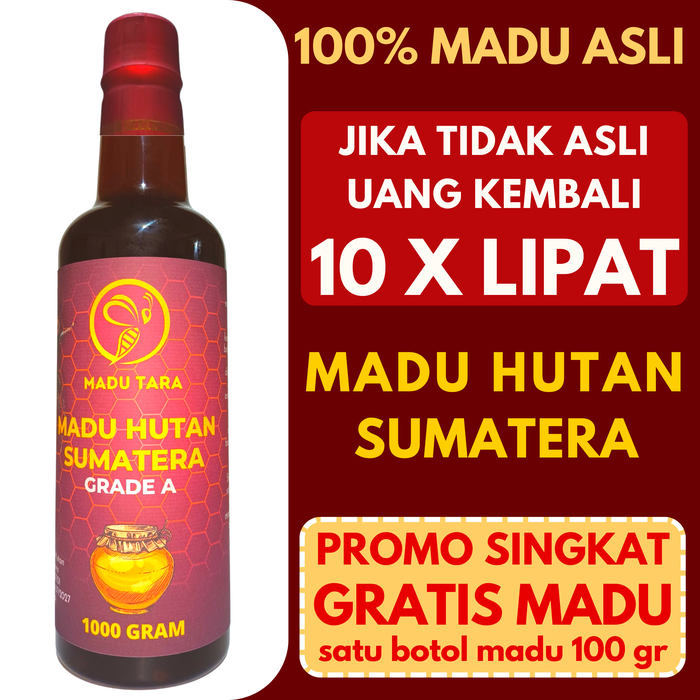 Jual MADU HUTAN SUMATERA MADU ASLI MADU MENTAH MURNI RAW HONEY MADU ...