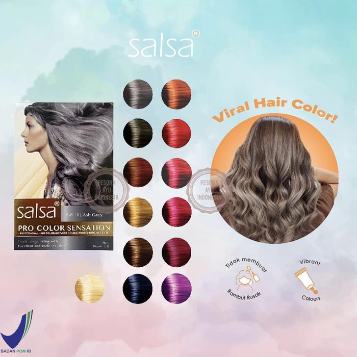 Jual SALSA Pro-Color Sensation -Cat Semir Rambut Permanent - S-9.00 ...