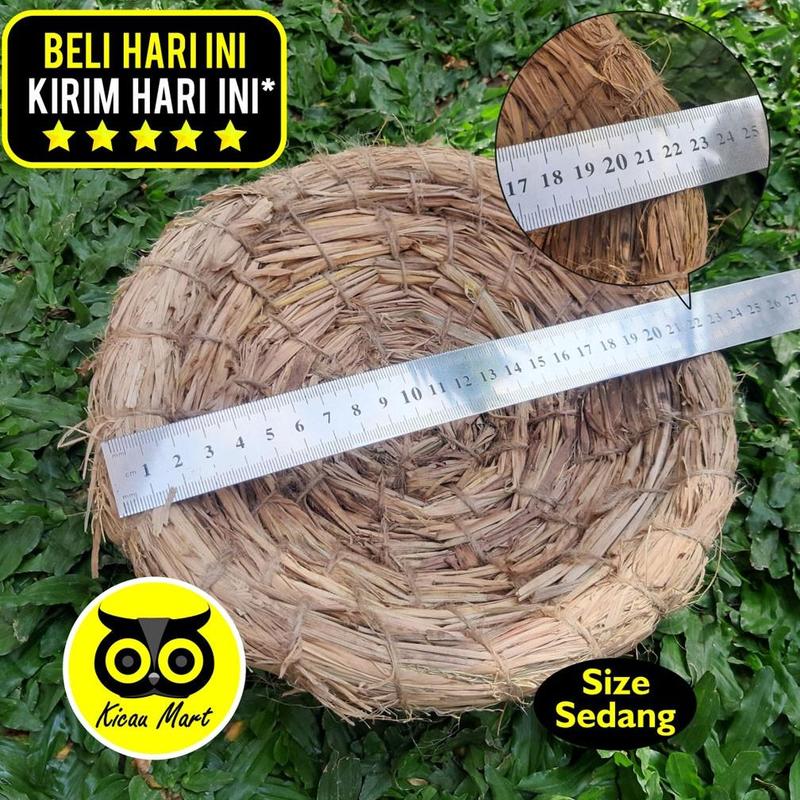 TARANGAN SARANG SUSUH JERAMI BUAT BURUNG MERPATI SERAT PADI SIZE - Shop ...