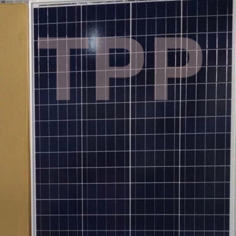 PROMO Panel Surya Poly 100WP 100 WP Solar Panel - Shop | Tokopedia