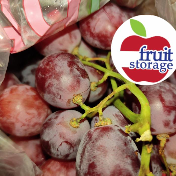 Jual Buah Anggur Red Globe non seedless (ada biji) Manis - Jakarta ...