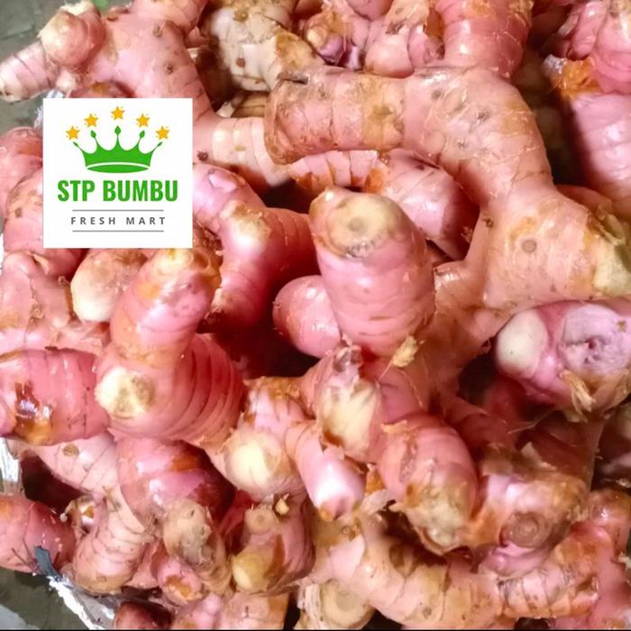 Jual Lengkuas Muda Merah 1 kg / Laos Muda Merah 1 kg - 1kg - Jakarta ...