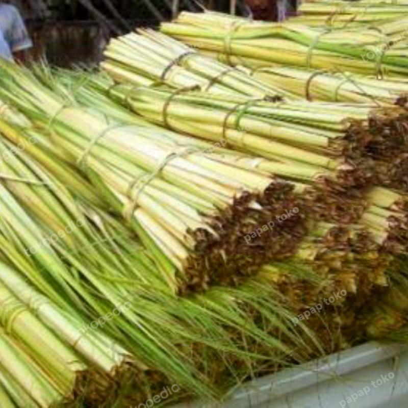 DAUN JANUR,DAUN KELAPA MUDA/bahan cangkang ketupat atau hiasan nikahan ...