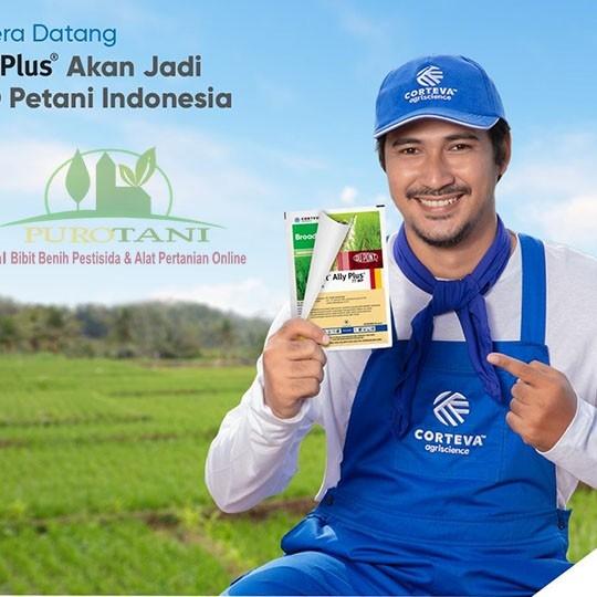 Herbisida Racun Rumput Broadplus Ally Plus 77 Wp Obat Tanama - Shop ...