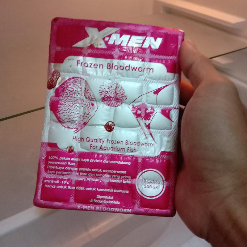 cacing beku frozen bloodworm - Shop | Tokopedia