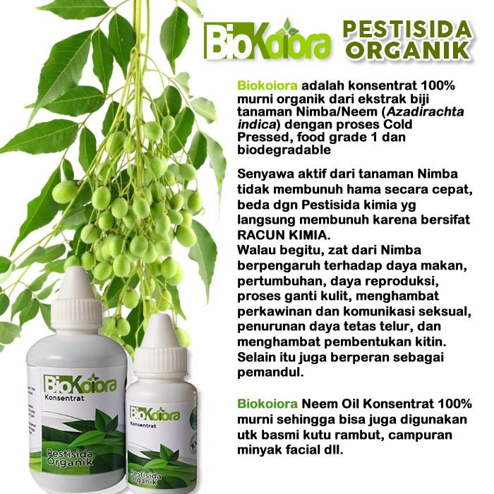 Pestisida Organik Untuk Hosrtikultur Pembasmi Hama Kutu Putih Kebul ...