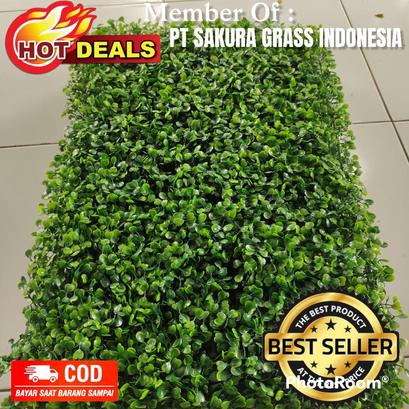Tanaman Rambat Dolar Sintetis Premiun Ukuran 40x60 Cm Buat Dinding Dll ...