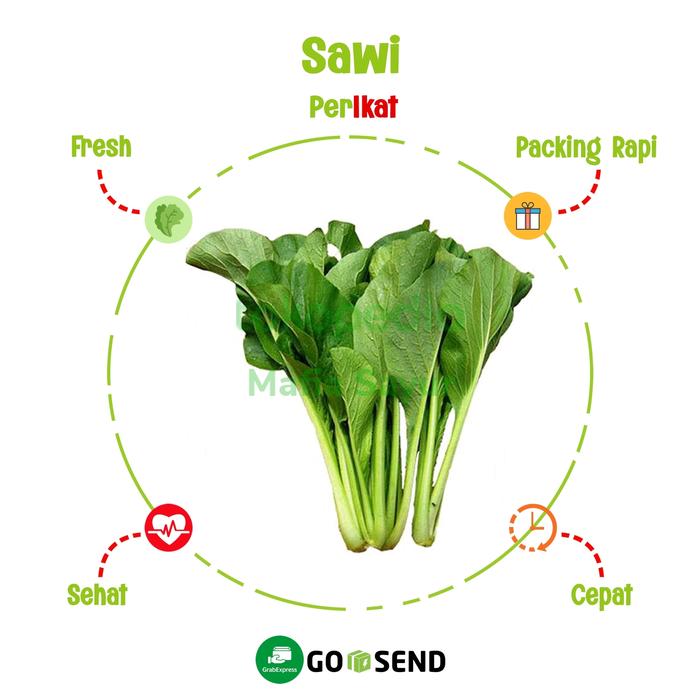Jual SAWI HIJAU / SAWI / MUSTARD GREENS / FRESH VEGETABLE / SAYURAN ...