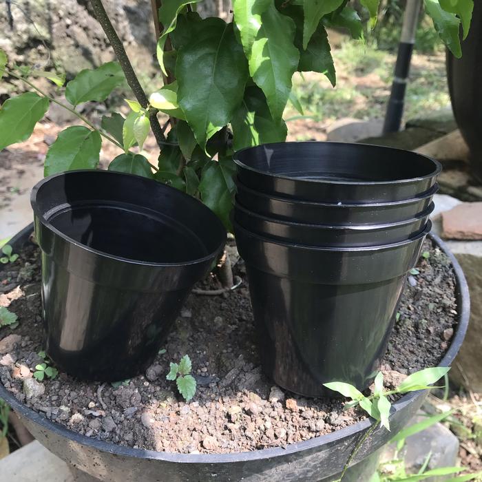 Jual Pot hitam 10 - Kota Tangerang Selatan - Daline Link | Tokopedia