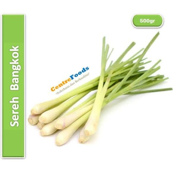 Jual Sereh Bangkok Batang Besar Segar - Batang Serai Besar Fresh ...
