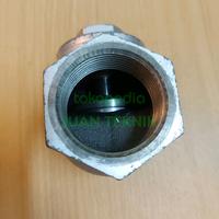 Jual lift check valve kitz 1" inch dn25 jis 10k lift check cast iron ...