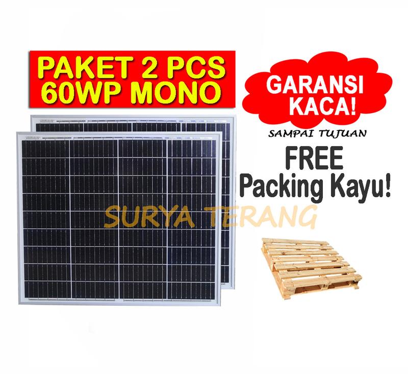 Paket 2pcs Solar Panel/Panel Surya 60wp Mono HQ Free Packing Kayu ...