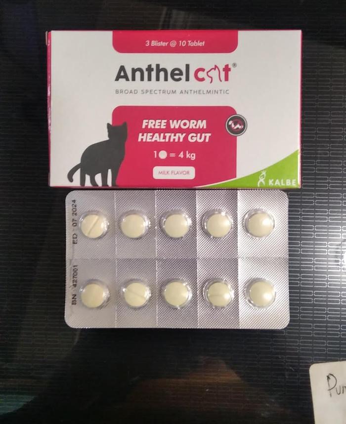 Jual ANTHEL CAT OBAT CACING KUCING PER TABLET OBAT CACING - 1TABLET ...