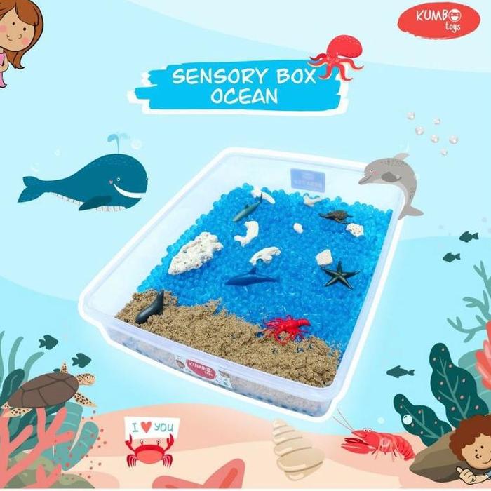 Jual Ocean Sensory Box | Mainan Montessori Sensory Play - BOX - Jakarta ...