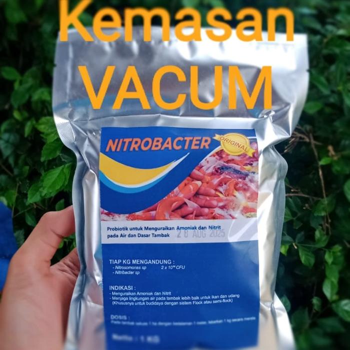 Jual Nitrobac 1 kg Nitrobacter probiotik bakteri starter kolam koi - N ...