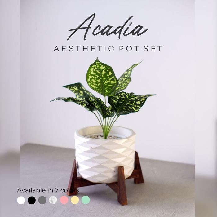 Jual CONCREATE Pot Tanaman Acadia 17 cm / Pot Aesthetic / Dekorasi Meja ...