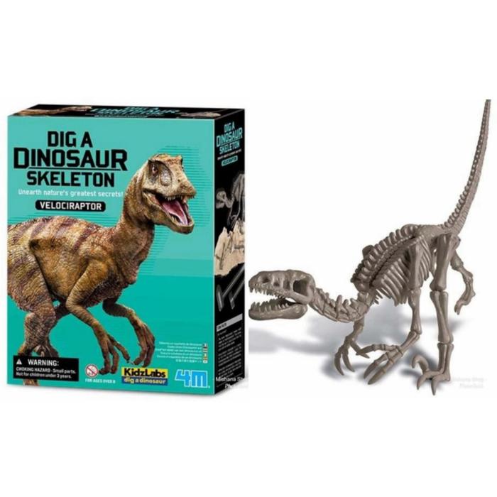 Jual Dig A Dinosaur Skeleton 4M Gali Tulang Dino Velociraptor 21 Cm ...