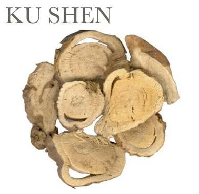 600 GRAM KU SHEN LIGHTYELLOW SOPHORA ROOT RADIX SOPHORAE FLAVESCENTIS ...
