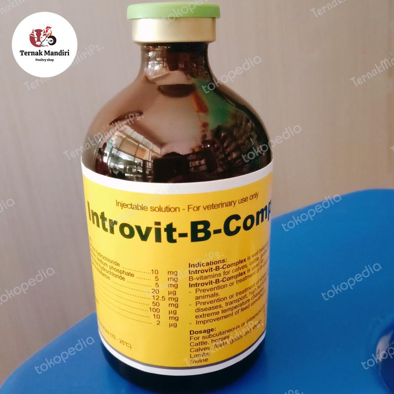 Introvit B-Complex 100 ml Vitamin B komplek + biotin ternak - Shop ...