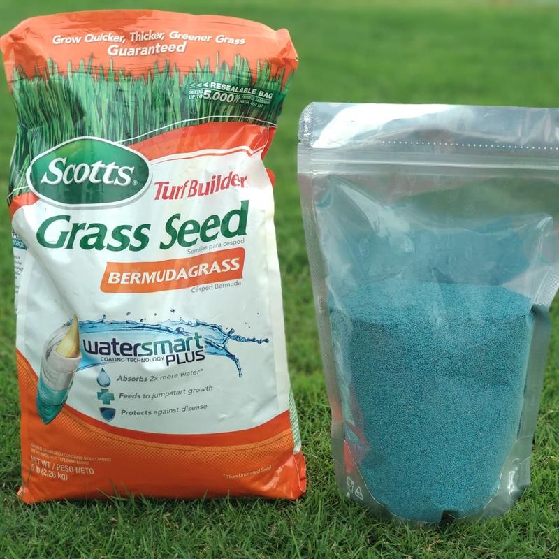 biji rumput bermuda grass - biji rumput lapangan golf - Shop | Tokopedia