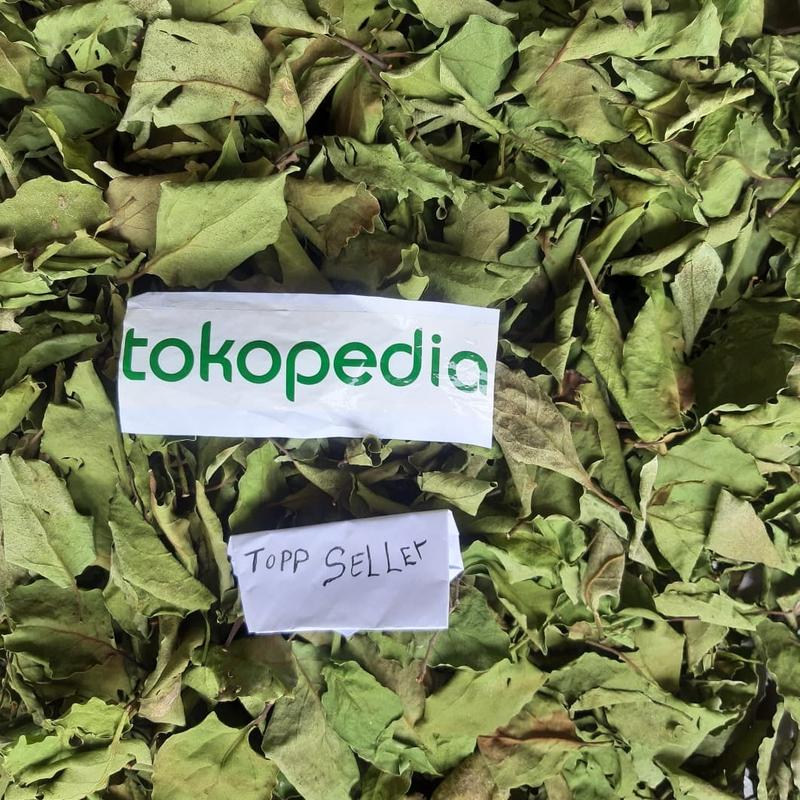 Daun benalu jati 500 gram fress atau kering - Shop | Tokopedia