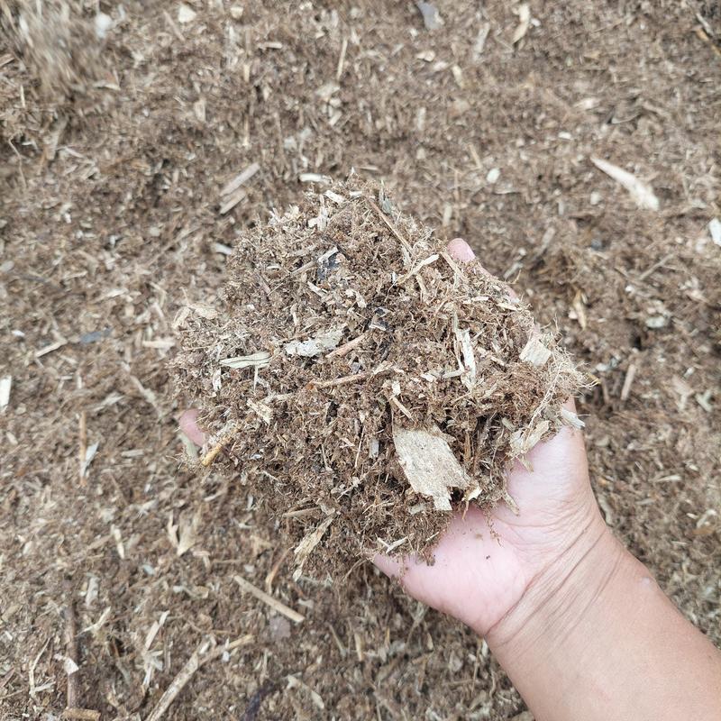 Humus Bambu Humus Akar Daun Bambu Fermentasi Alami Kering 1kg - Shop ...