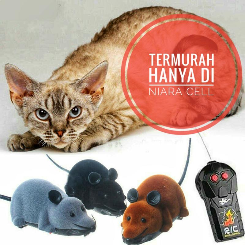 Mainan Tikus Remot Control / RC Mouse mainan kucing termurah - Shop ...