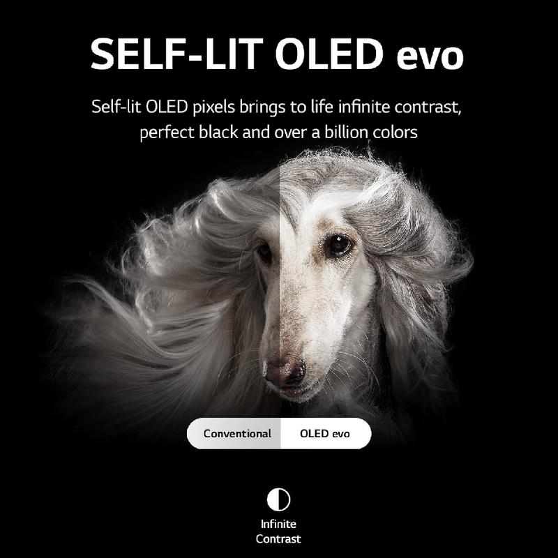 LG 55C2 LG OLED evo C2 55 inch 4K Smart TV Dolby Vision 120Hz 55C2PSA ...