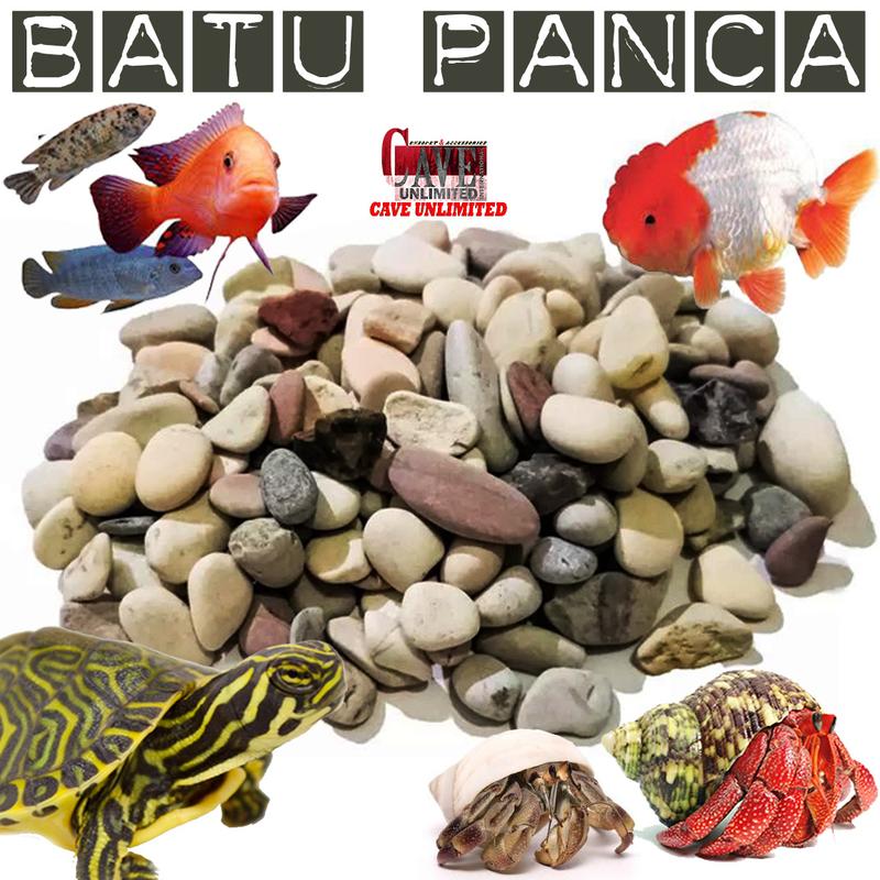 BATU PANCA SUBSTRAT ALAS KANDANG REPTIL KURA AIR TURTLE RES BRAZIL ...