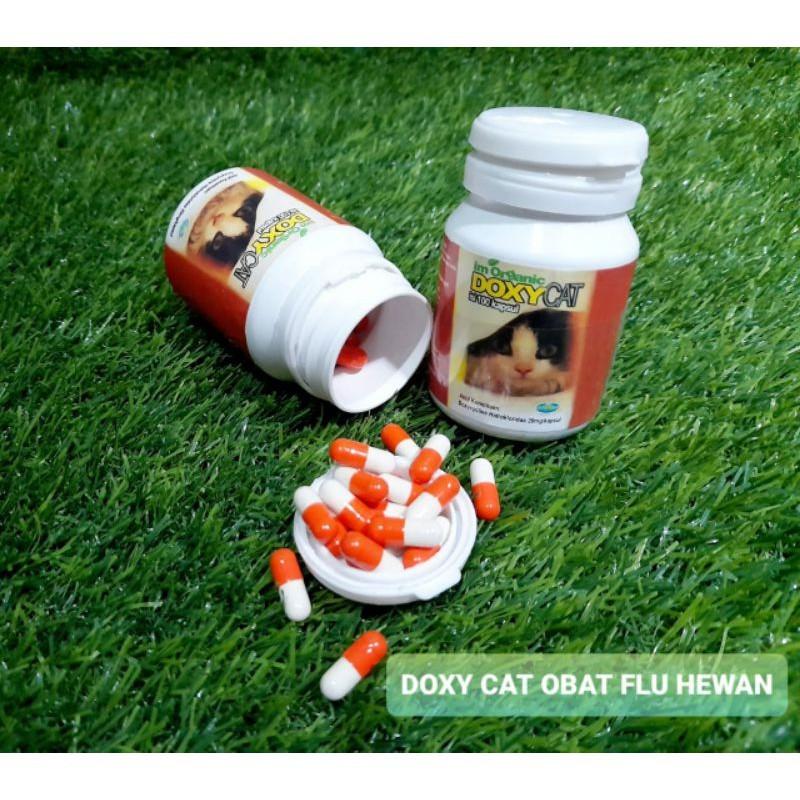 Obat Flu Kucing Doxy Cat Ecer 1capsul DoxyCat Antibiotik Dox - Shop | Tokopedia