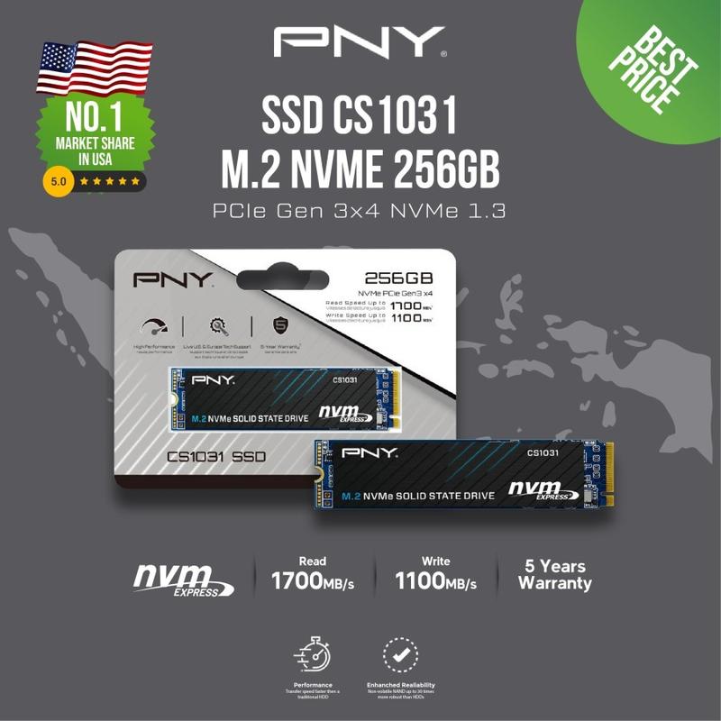 SSD PNY CS1031-NVME 256GB - Shop | Tokopedia