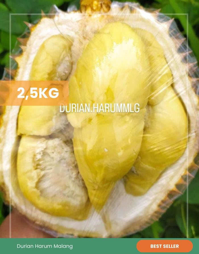 Jual Durian montong utuh Cane Singaraja Bali 2,5kg - Kota Malang ...