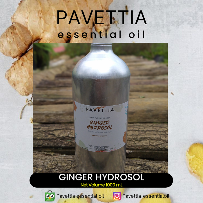 Jual Ginger hydrosol - hidrosol jahe 1000 ml - botol alumunium - Kab ...