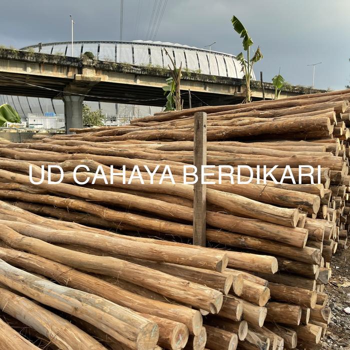 Jual Kayu Dolken Gelam 8 10 cm Super Kupas Kulit Jakarta - Harga Normal ...