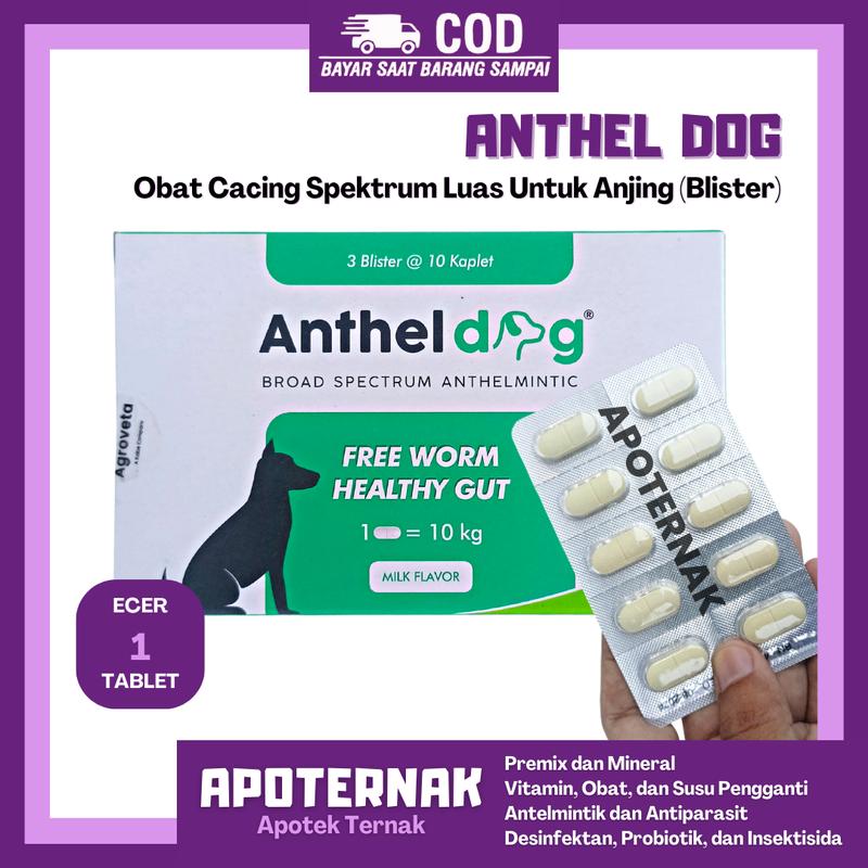 ANTHEL DOG Tablet BLISTER | Obat Cacing Spektrum Luas ANJING - Shop ...