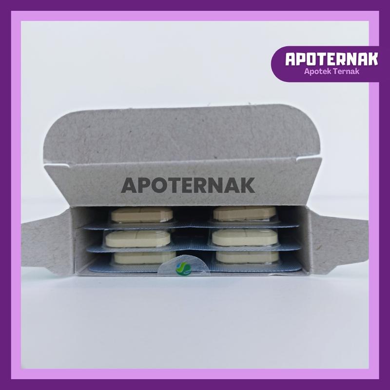 ANTHEL DOG Tablet BLISTER | Obat Cacing Spektrum Luas ANJING - Shop ...