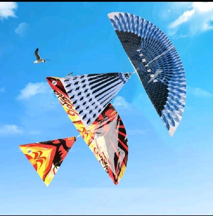 Promo Mainan Layangan Burung Rakit Terbang Tenaga Karet - Shop | Tokopedia