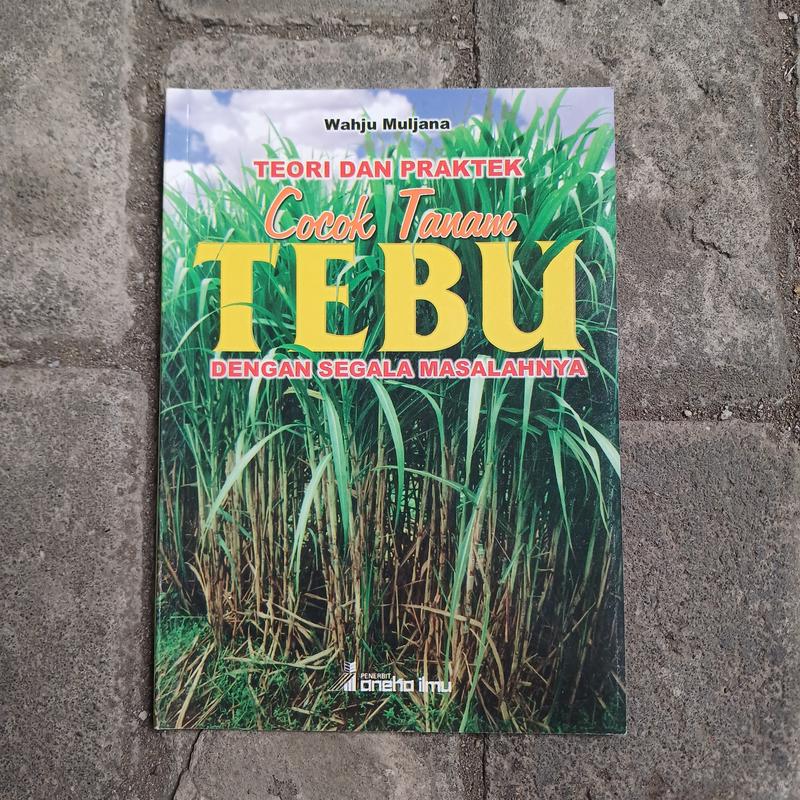 Teori Dan Praktek Cocok Tanam Tebu Dengan Segala Masalahnya - Shop ...