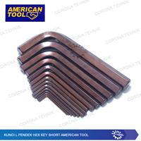 Jual Kunci L Pendek Hex Key Short American Tool - Jakarta Barat ...